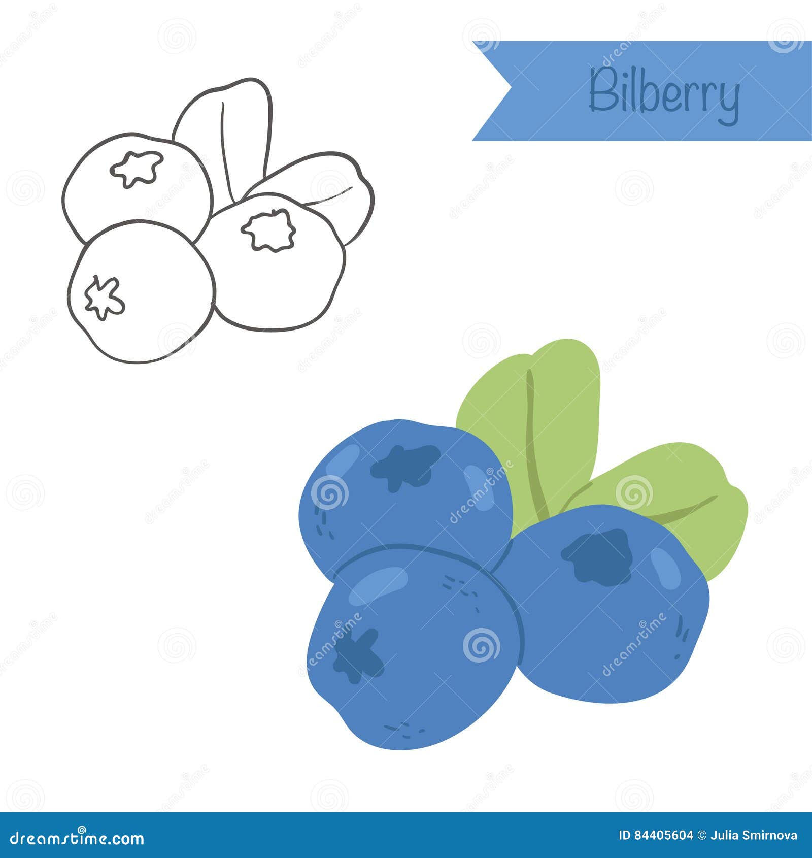 Bilberry stock illustration. Illustration of biology - 84405604