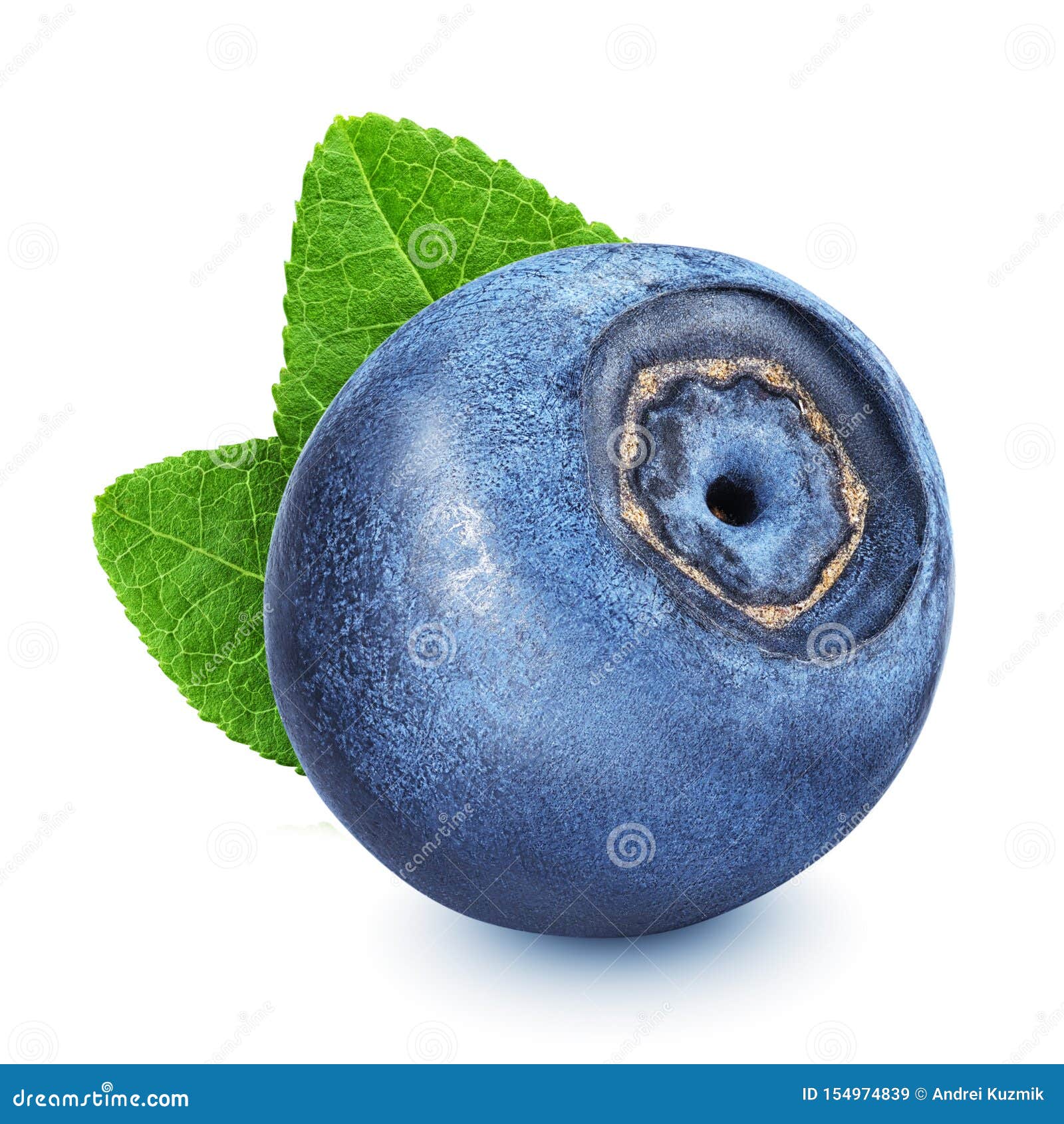 Bilberry with Leaves Isolated on White Stock Image - Image of healthy ...