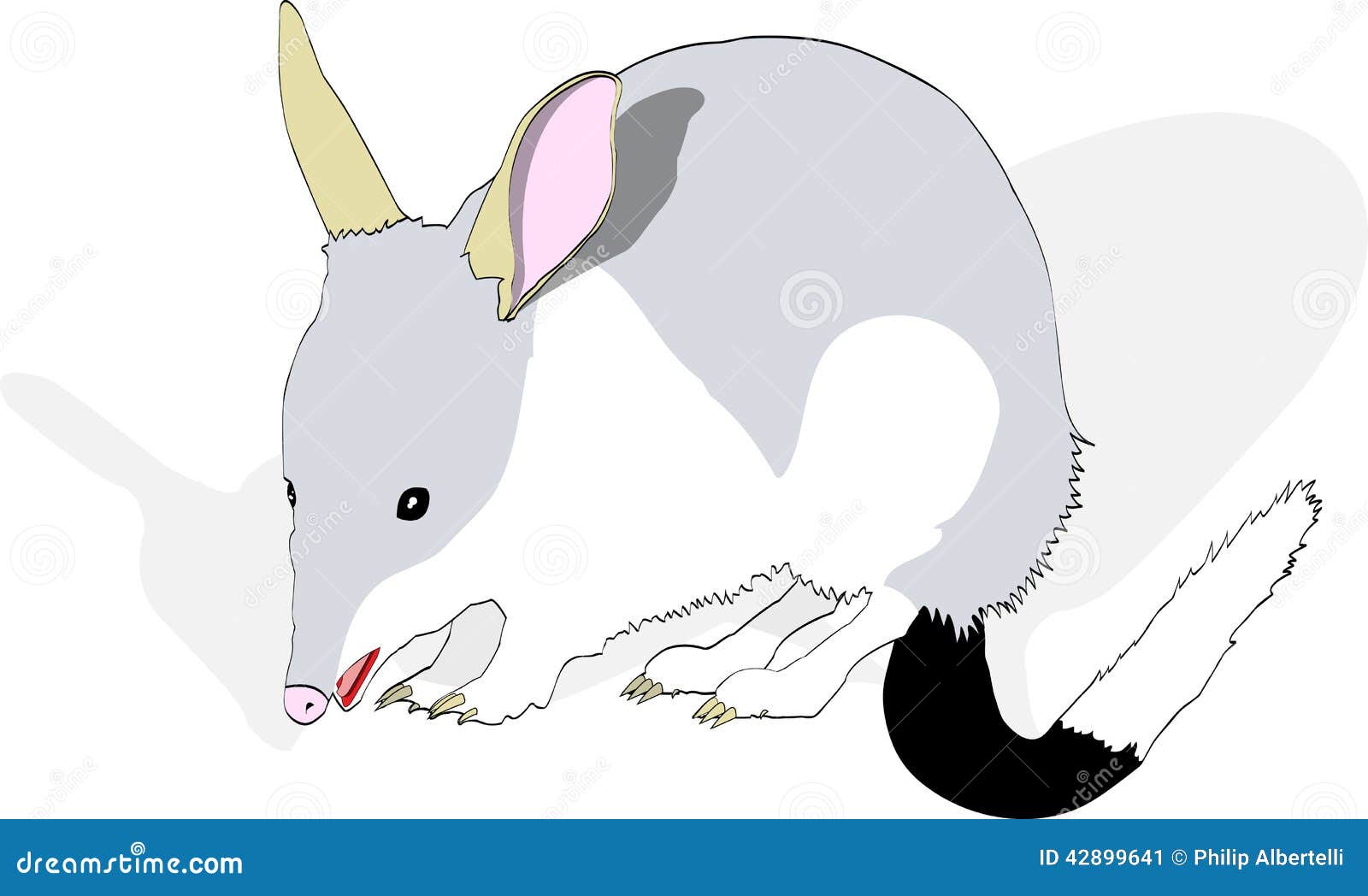 Bilby Stock Photo | CartoonDealer.com #42898710