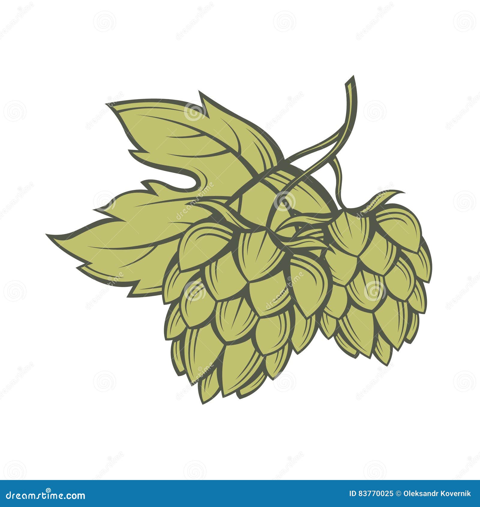 Bild von Hopfen vektor abbildung. Illustration von brauerei - 83770025