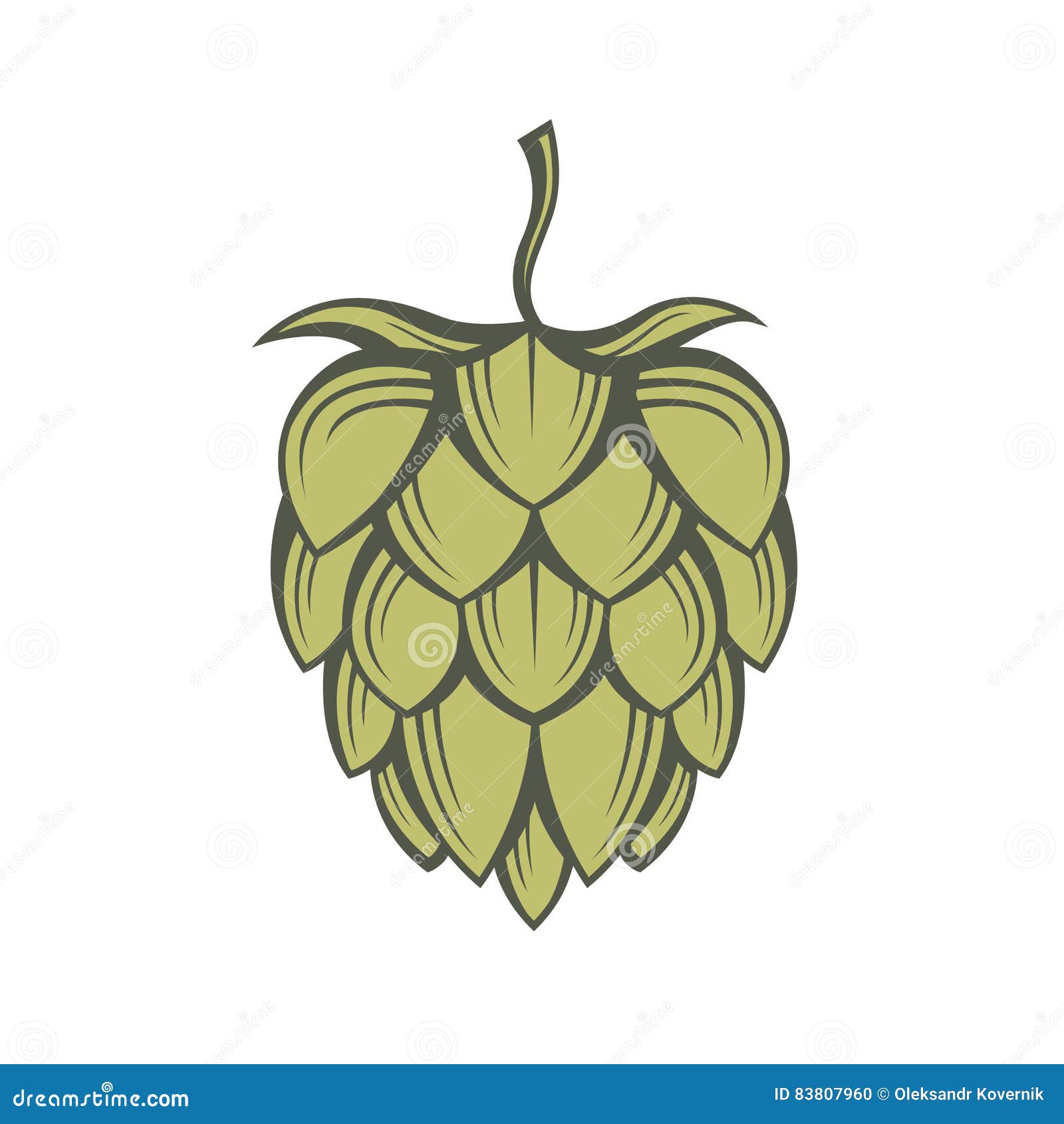 Bild von Hopfen vektor abbildung. Illustration von wachsen - 83807960