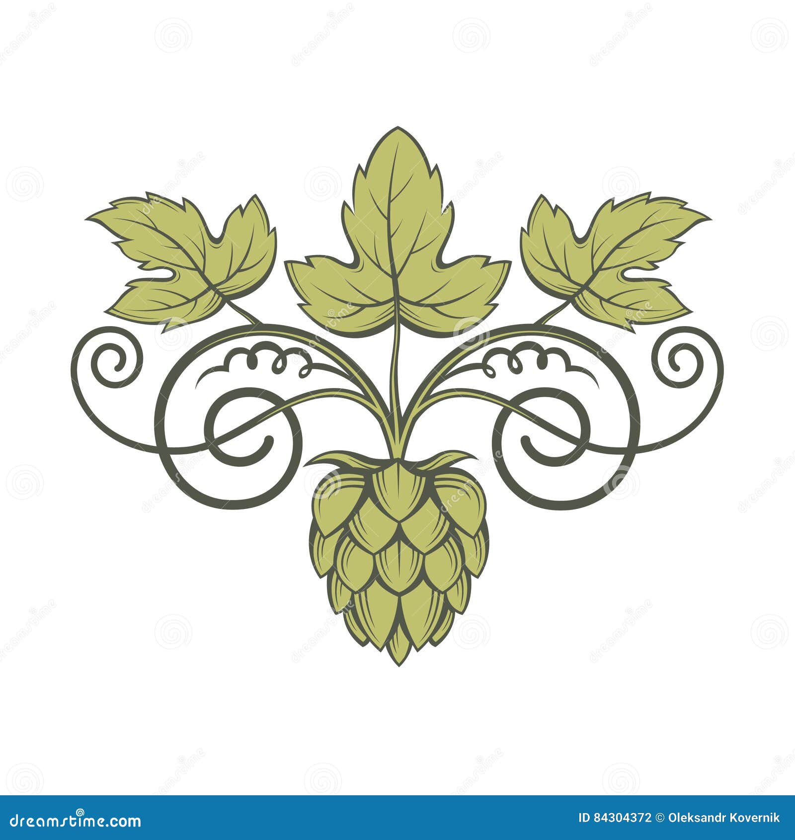 Bild von Hopfen vektor abbildung. Illustration von lager - 84304372