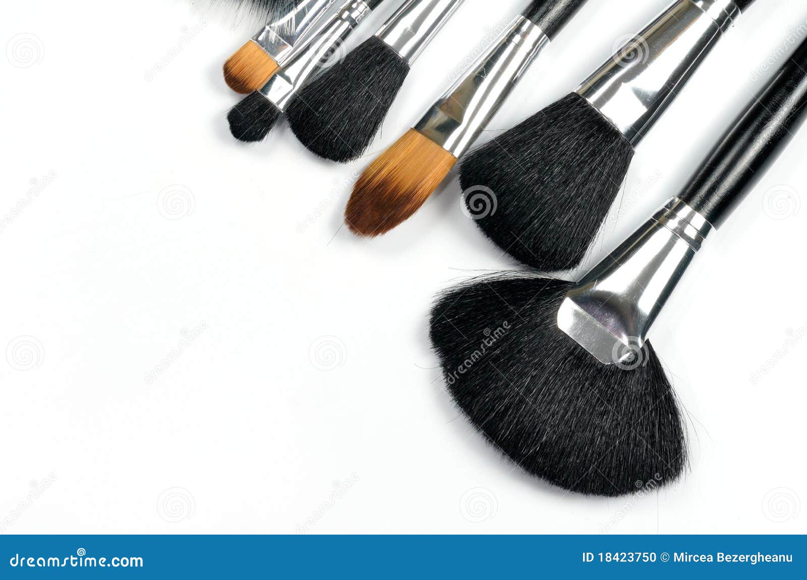 Bilden Sie Pinsel stockfoto. Bild von fachmann, weich - 18423750