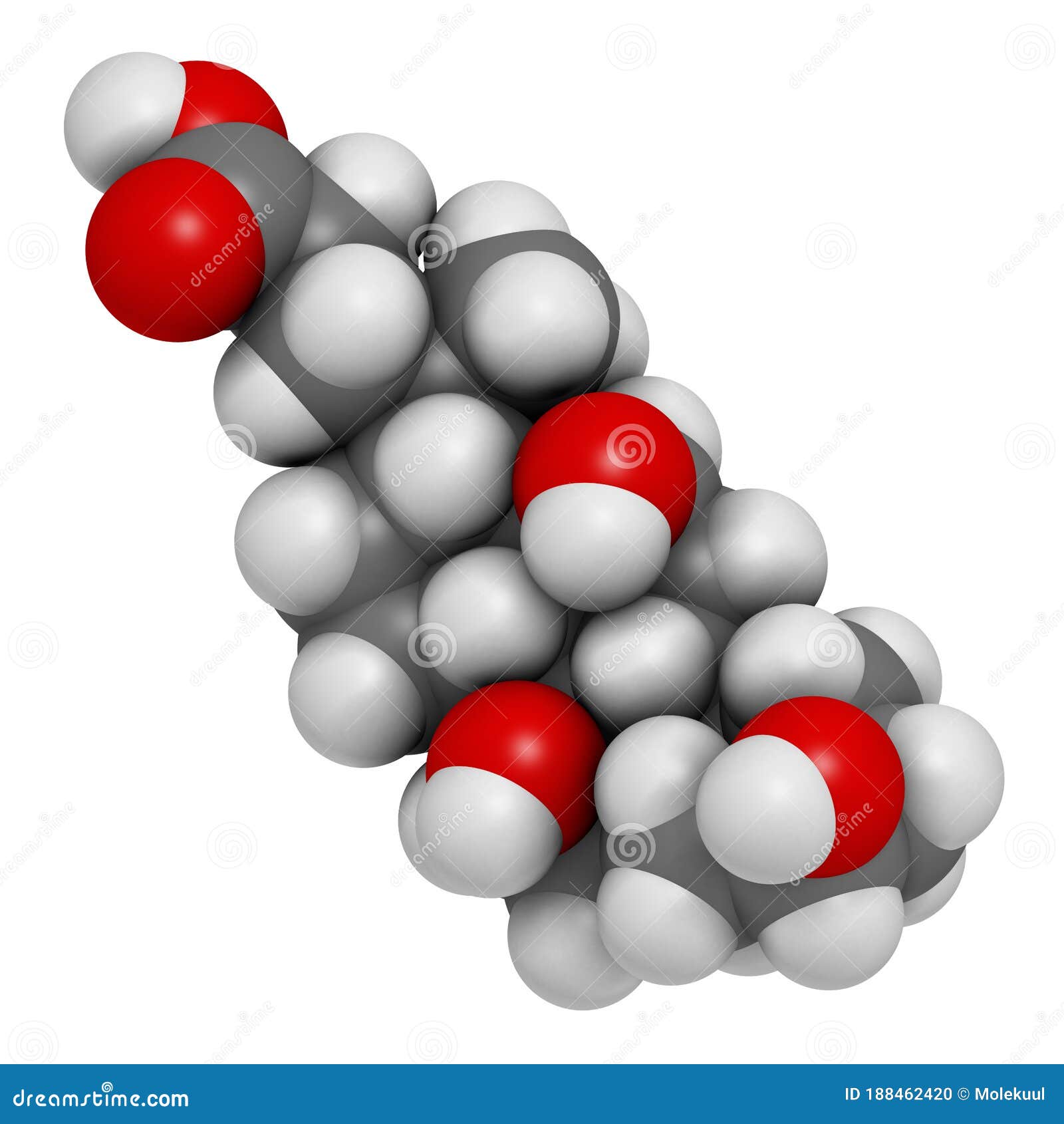 Bile Acid (cholic Acid, Cholate) Molecule. Cholic Acid is the Main Bile ...