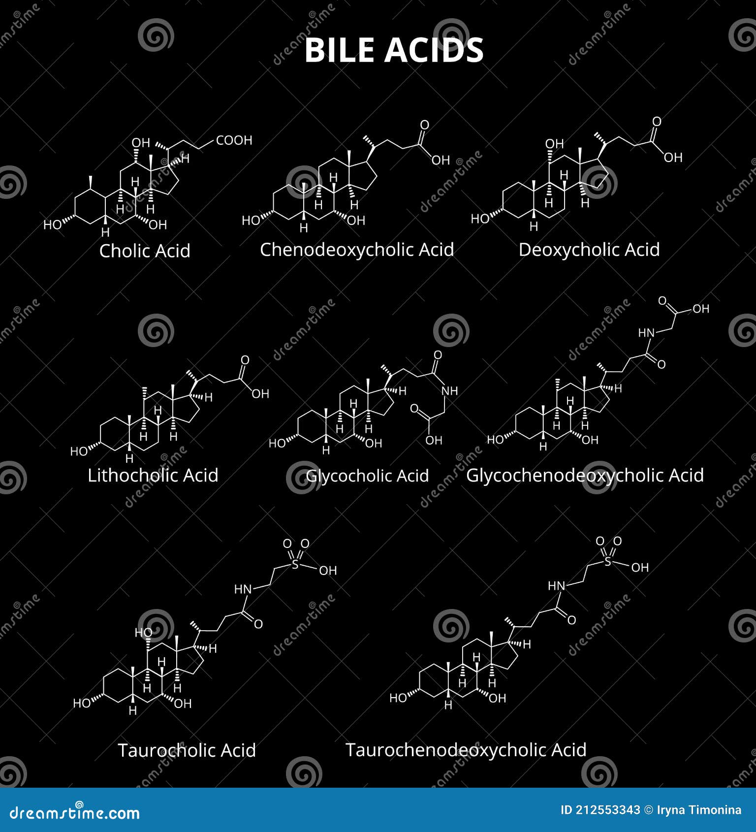 Bile Acids Set. Chemical Molecular Formula Of Bile Acids. Vector ...