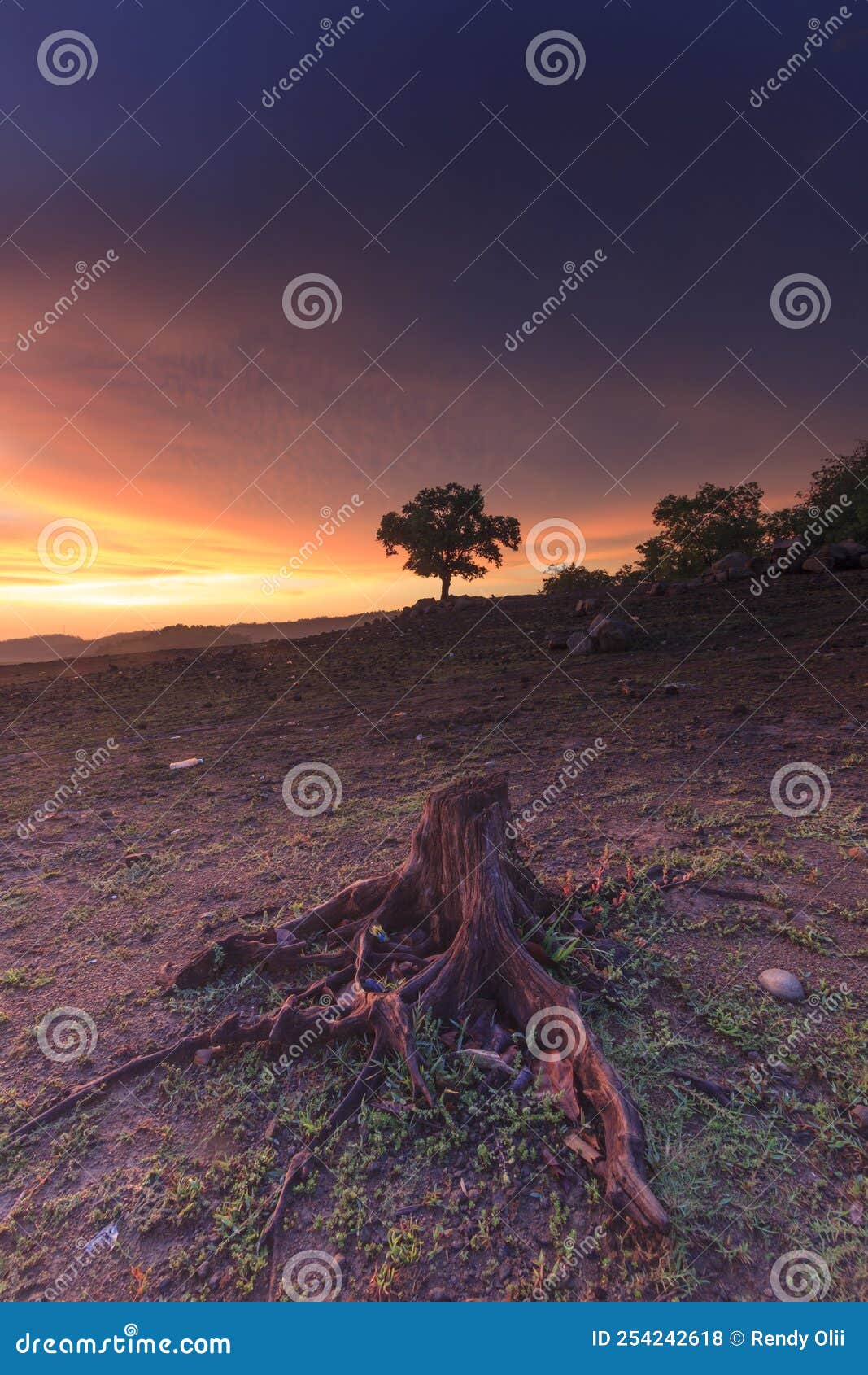 Bili bili Gowa stock photo. Image of gowa, morning, screenshot - 254242618