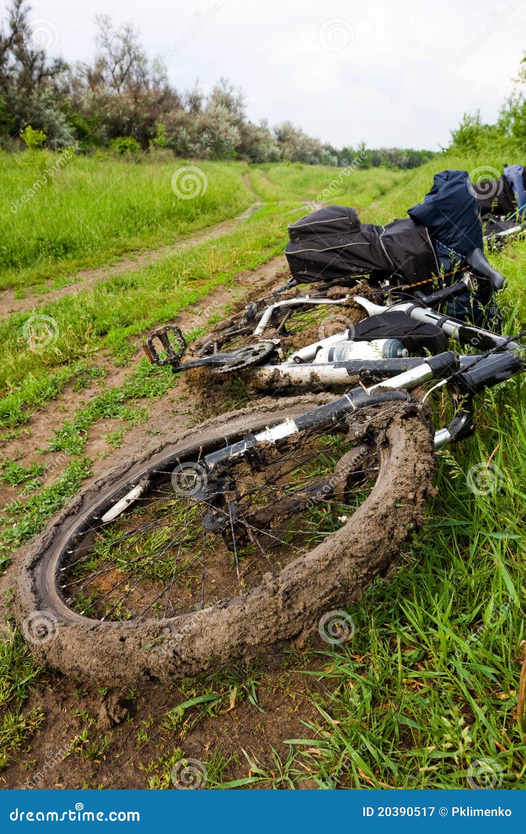 Bilke in dirt stock image. Image of fresh, extreme, beautiful - 20390517