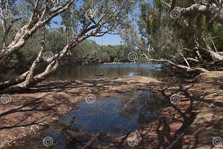 Billabong swing stock image. Image of swing, australia - 80522937