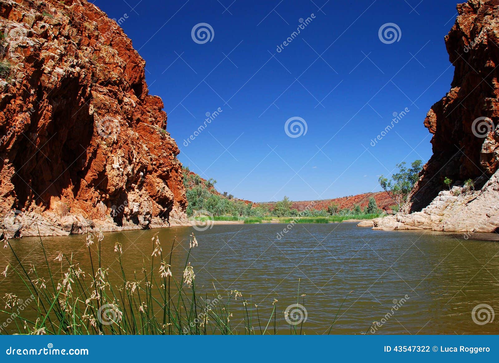 Billabong Territorio Settentrionale, Australia Fotografia Stock ...