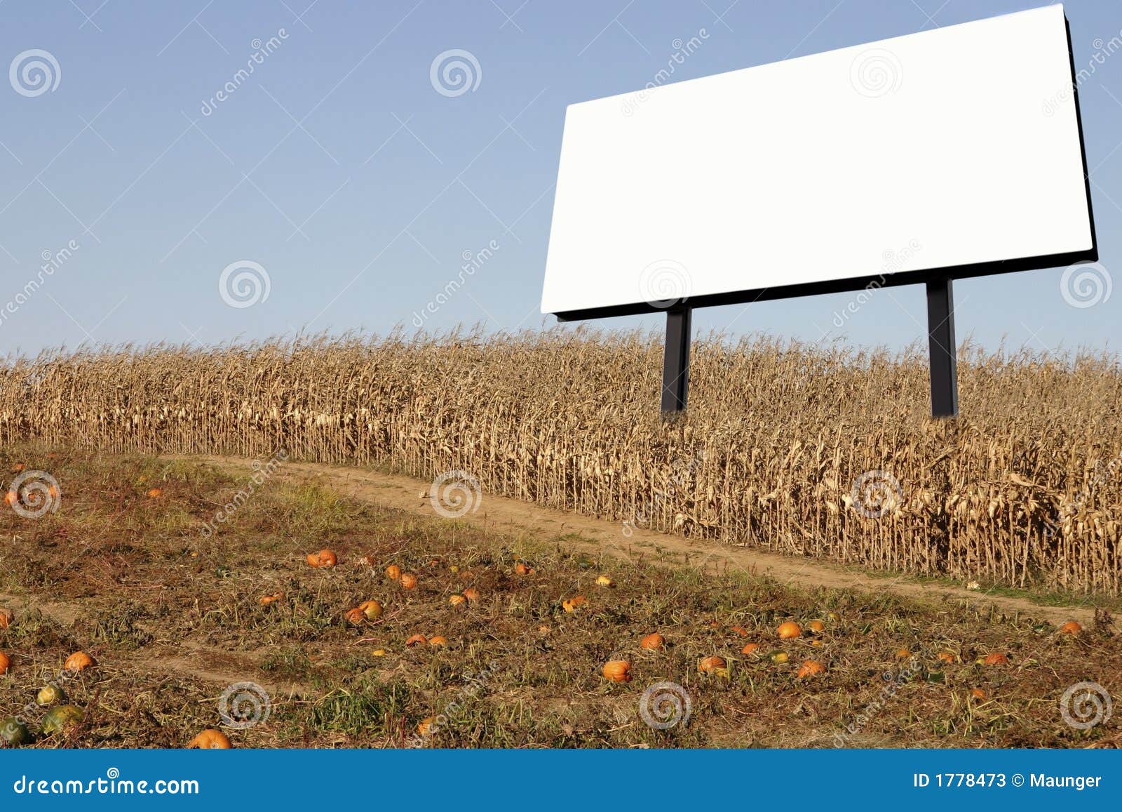 Billboard in a corn field stock image. Image of company - 1778473