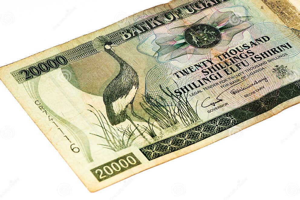 Billet De Banque De Devise De L'Afrique Image stock - Image du économie ...
