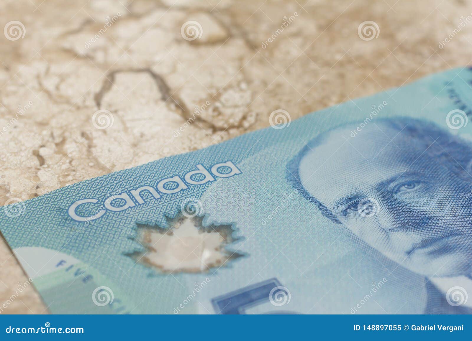 Billets De Banque De Devise Canadienne : Dollar Plan Rapproch? Sur La ...