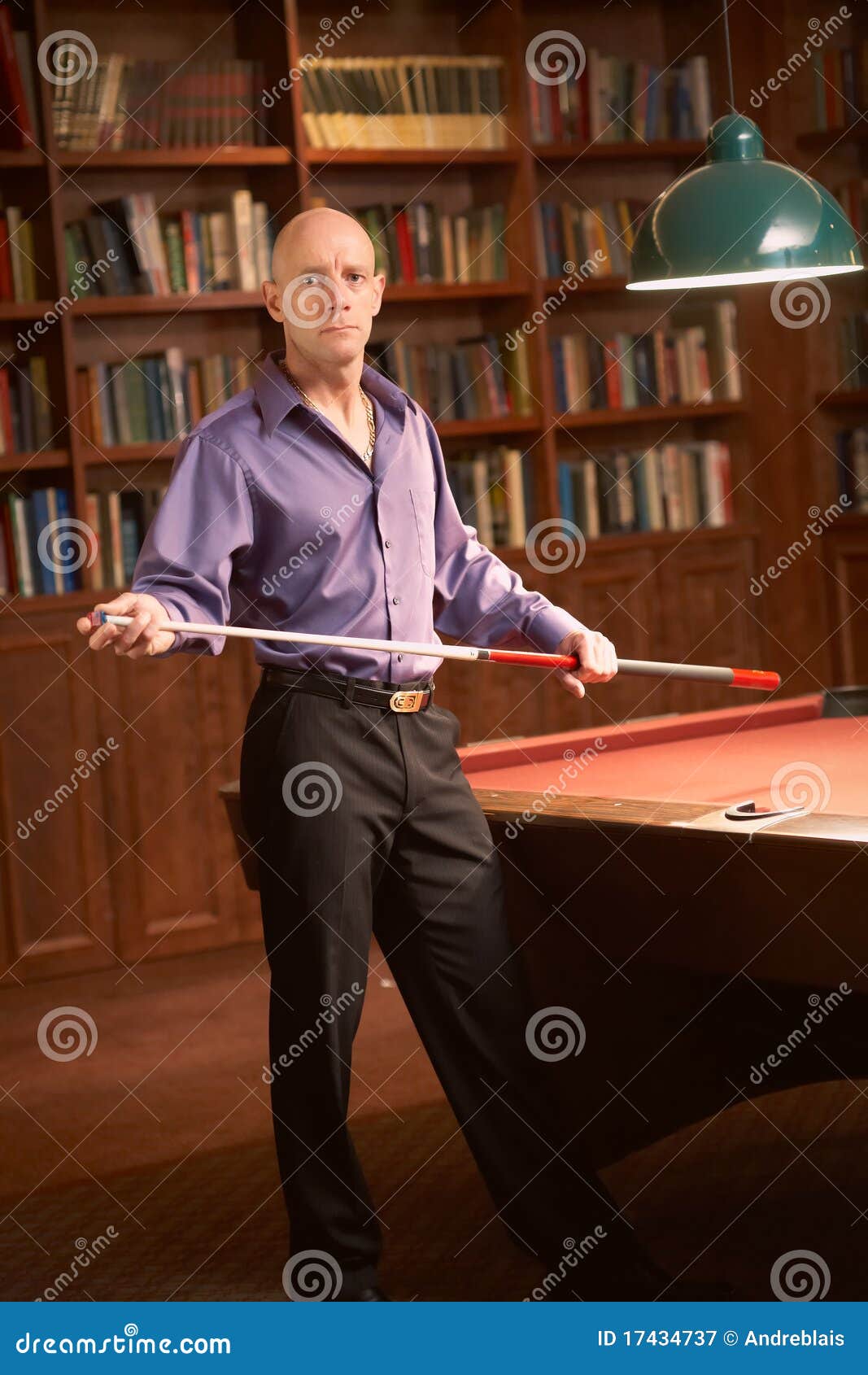 Billiards pool player stock image. Image of hobby, cool - 17434737