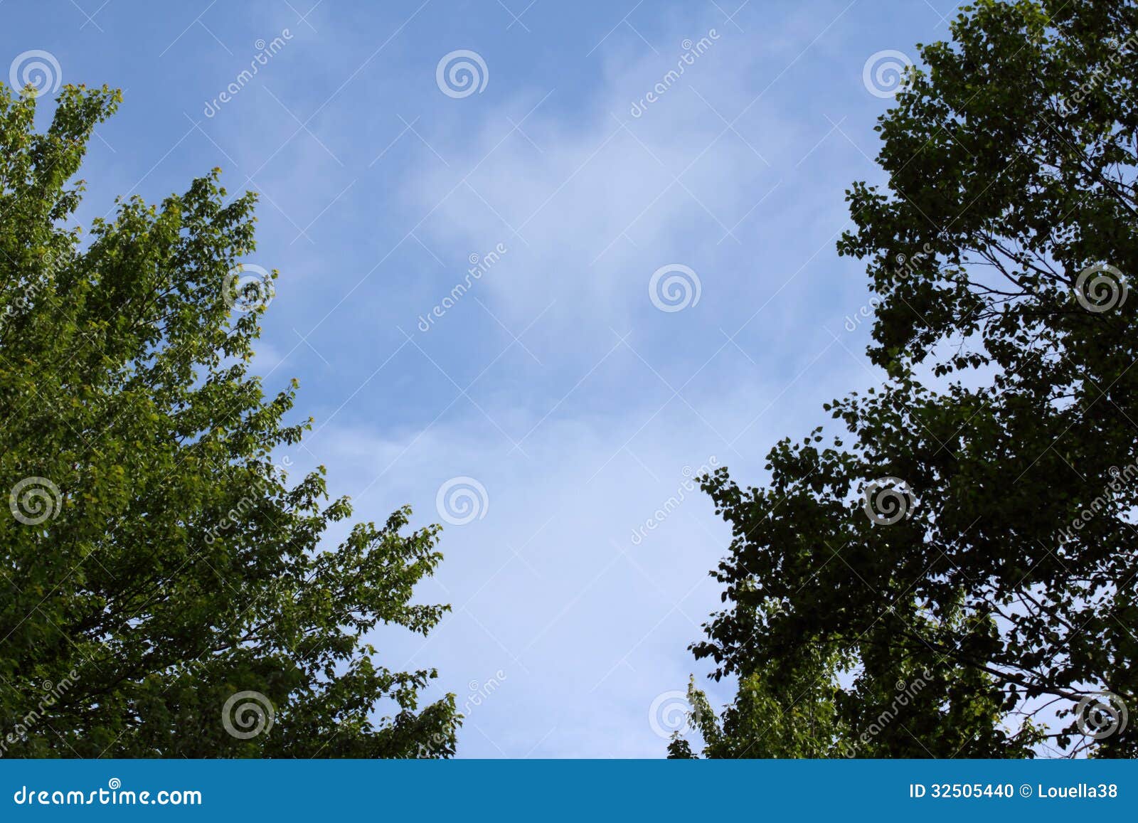 Billowing Clouds Amongst Trees Stock Photo - Image of wisps, billowy ...