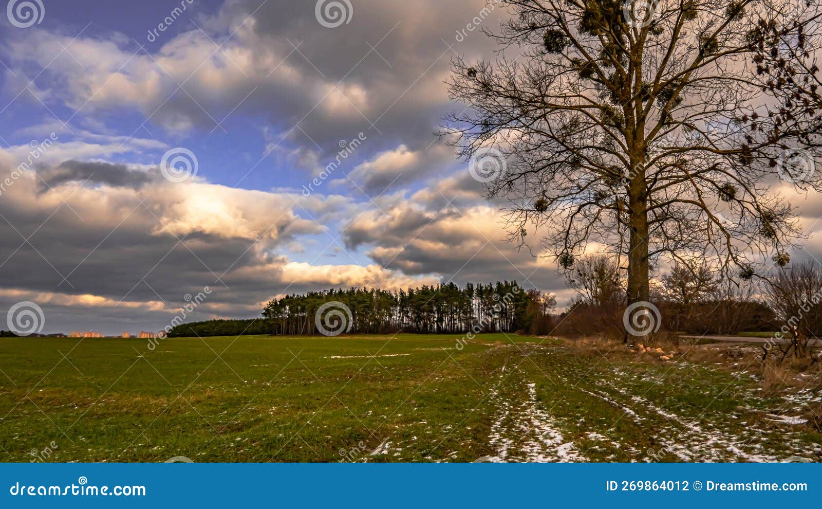 Billowing clouds stock photo. Image of tree, village - 269864012