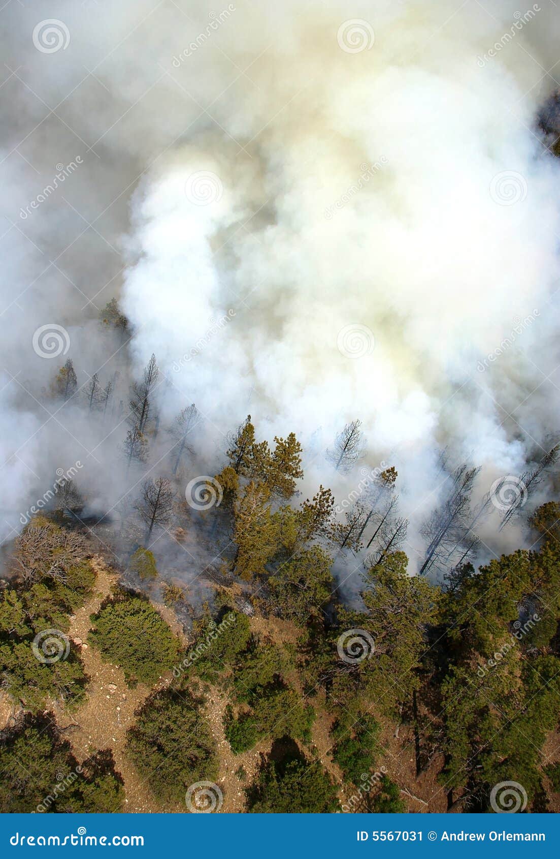 Billowing Smoke stock image. Image of danger, smoke, cloud - 5567031