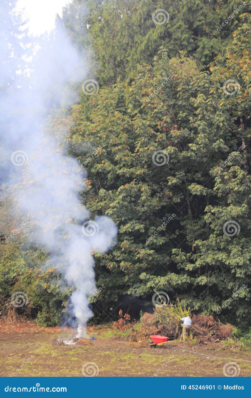 Billowing Smoke from Garden Waste Fire Stock Image - Image of plume ...