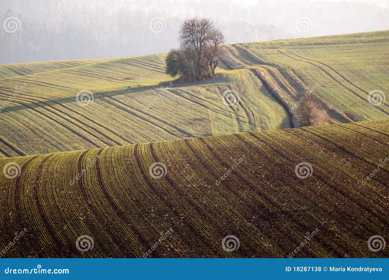 Billowy field stock photo. Image of curve, brightly, relaxation - 18287138