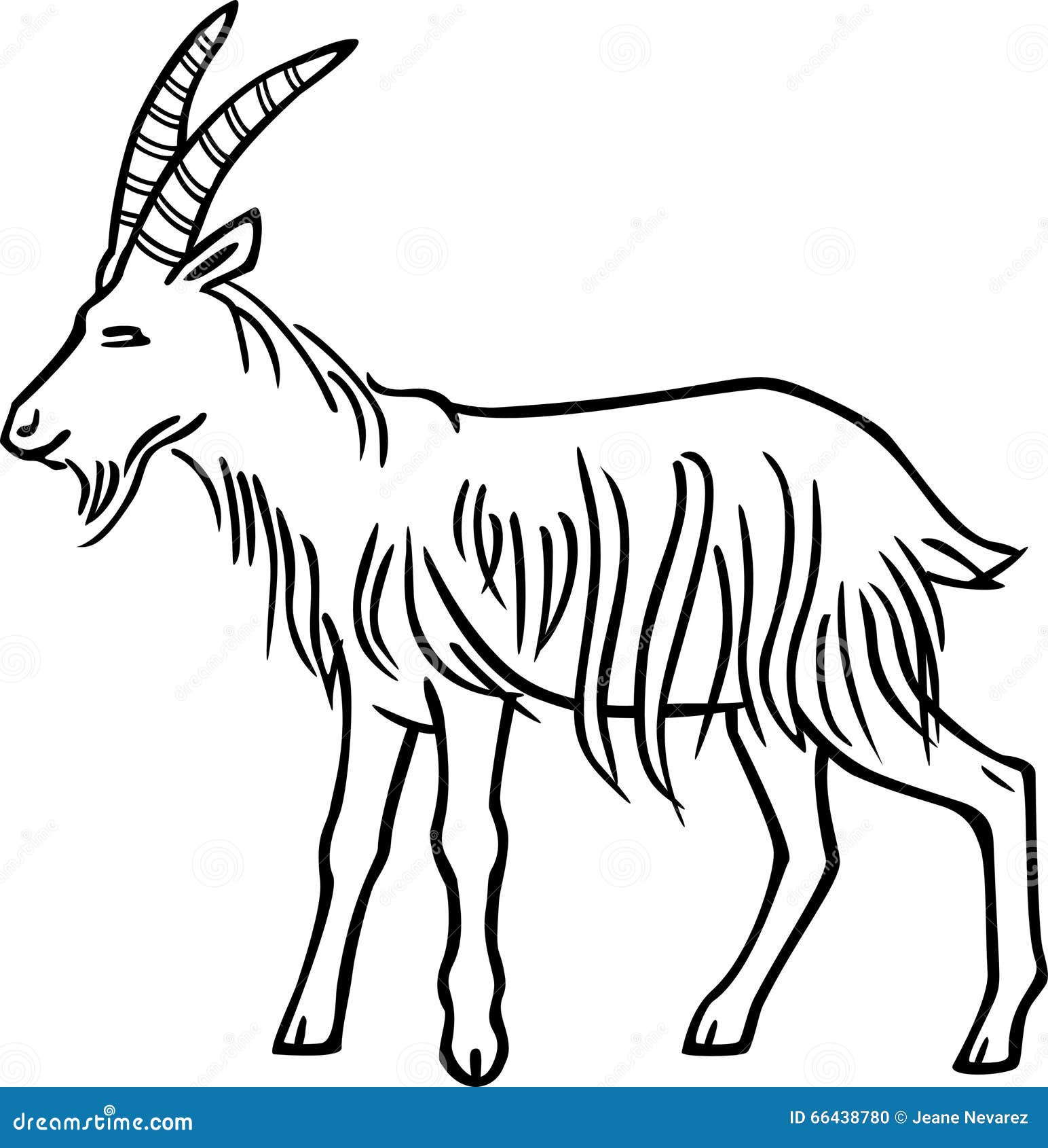 Billy Goat stock vector. Illustration of buck, animal - 66438780