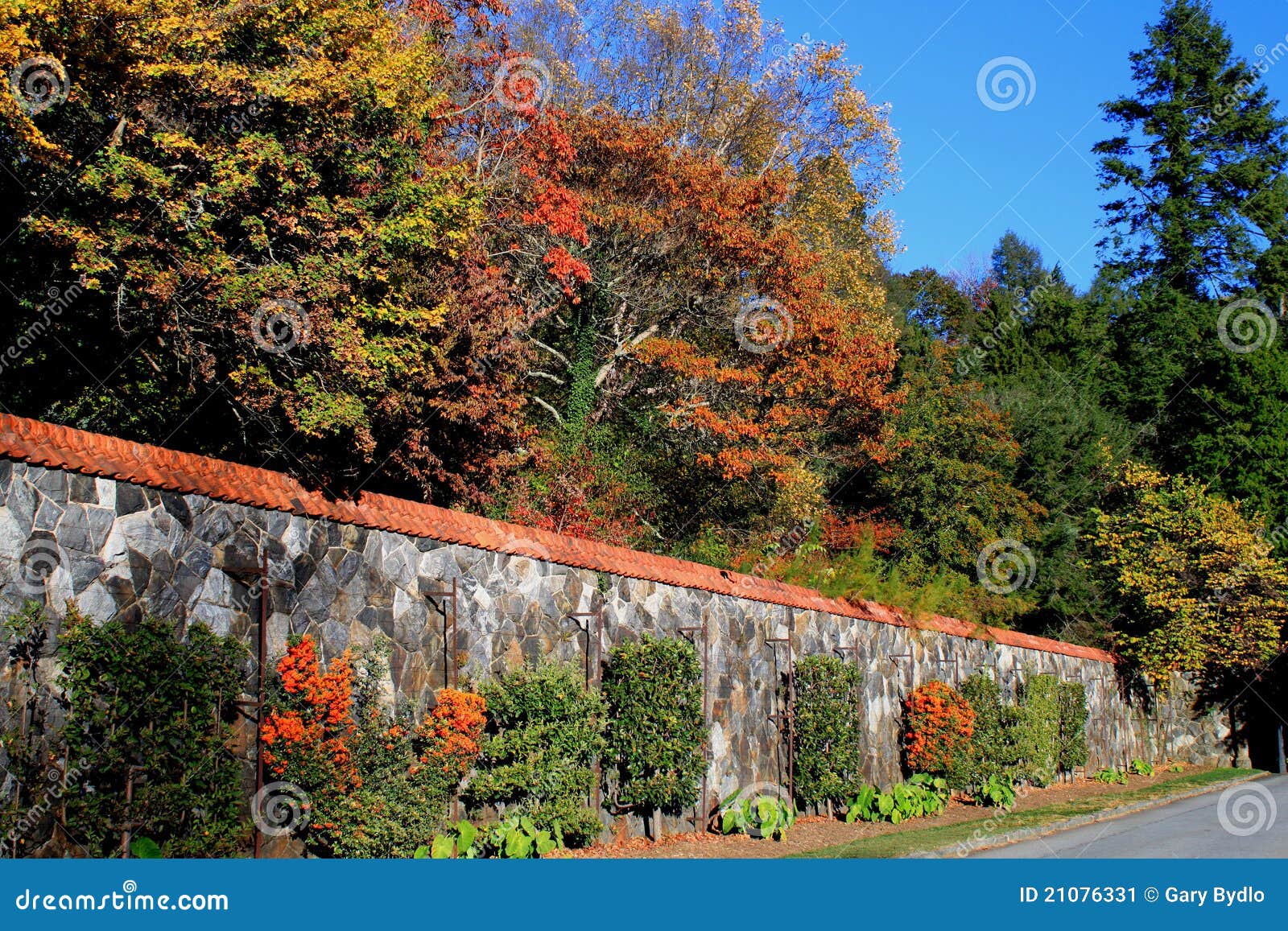 Biltmore Estate editorial photo. Image of walls, autumn - 21076331