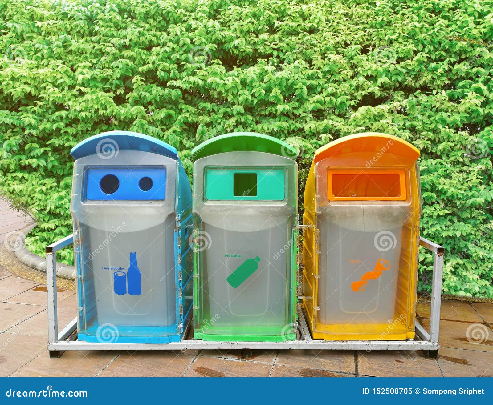 Bin Separation of Plastic Waste, Bottles Wet Waste Stock Image - Image ...