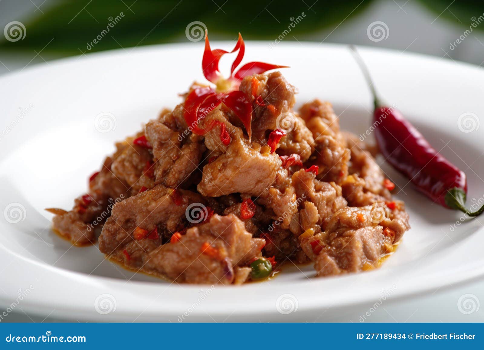Dish Of Cooked Mussels, Shellfish Seafood Meal Stock Photography ... Dish Of Cooked Mussels, Shellfish Seafood Meal Stock Photography ...