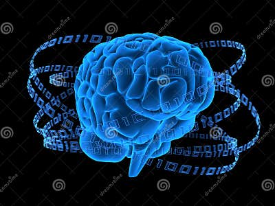 Binary brain stock illustration. Illustration of cerebral - 2869692