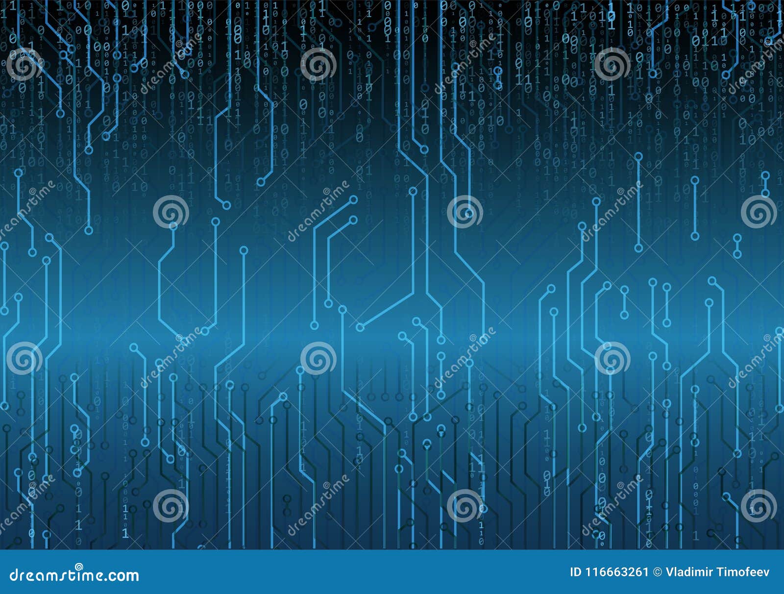 Binary Circuit Board Future Technology, Blue Cyber Security Concept Background, . Web Developer ...