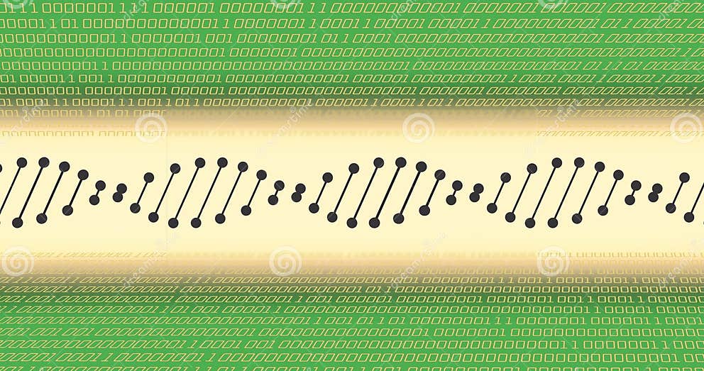 Binary Code Over Dna Strand Illustration Stock Illustration ...