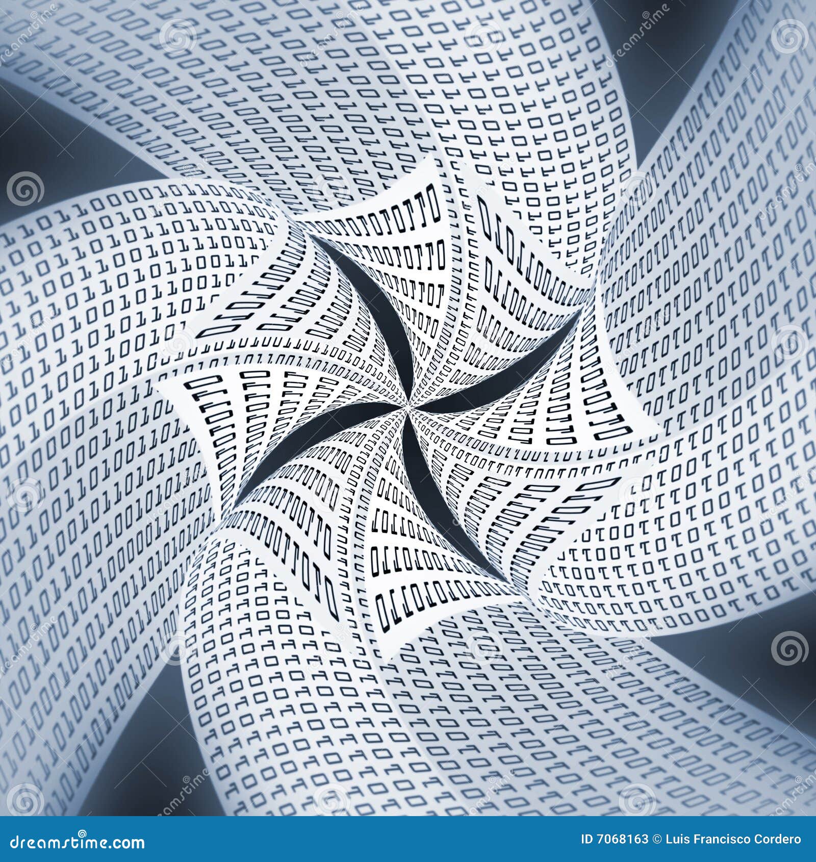 Binary rose stock illustration. Illustration of flower - 7068163