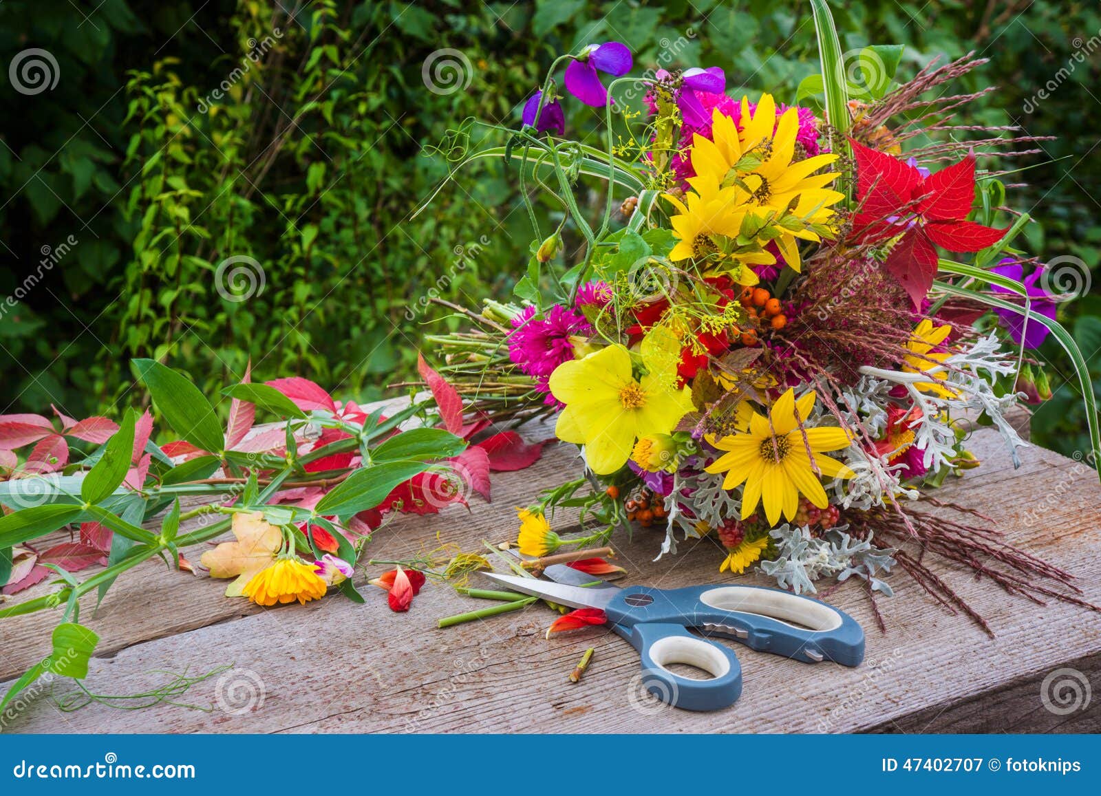 Bind Bouquet stock image. Image of decoration, herb, summer - 47402707