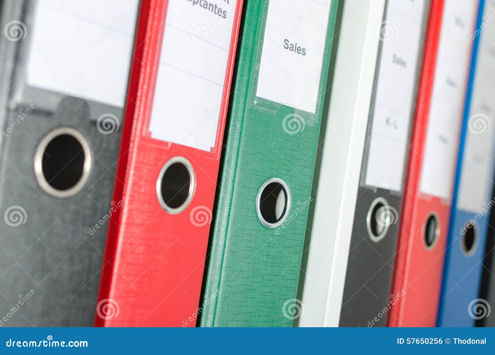 Binders stock photo. Image of organization, organize - 57650256