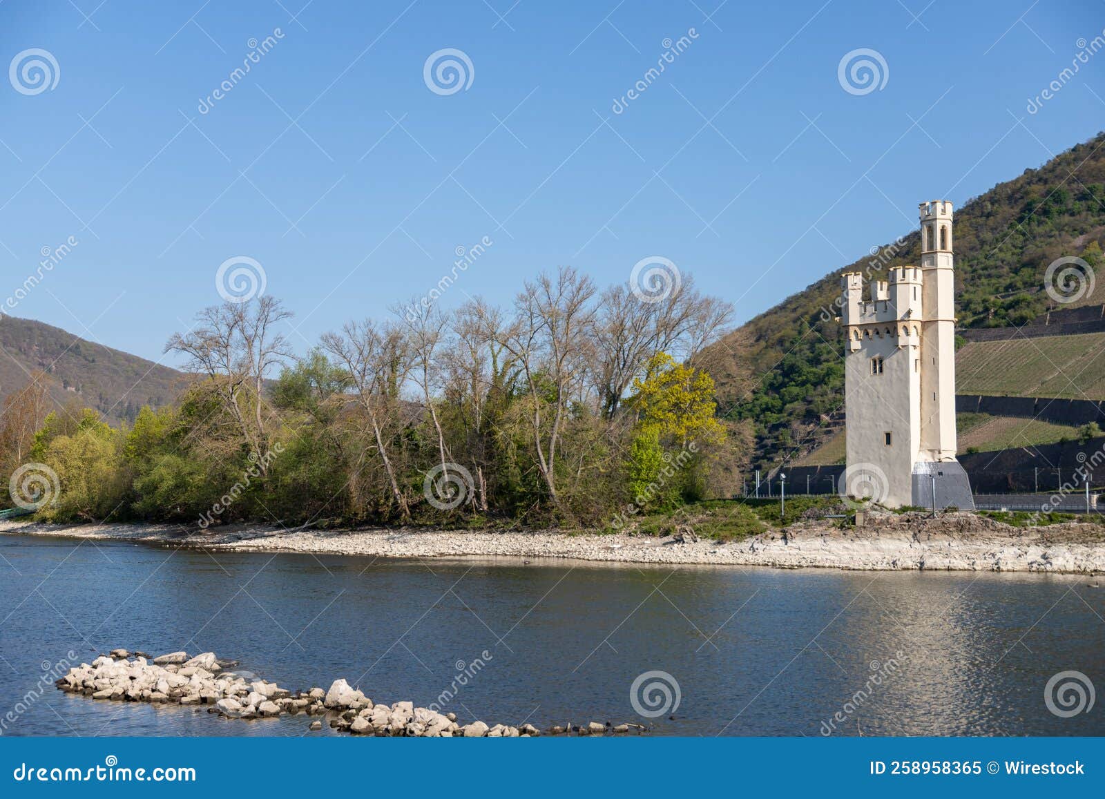 Binger Mouse Tower On The River Rhine With Forest And Mountains In The ...