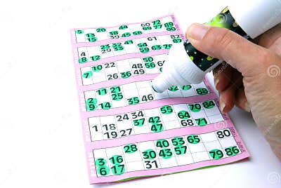 Bingo full house stock photo. Image of card, pink, hand - 13941820