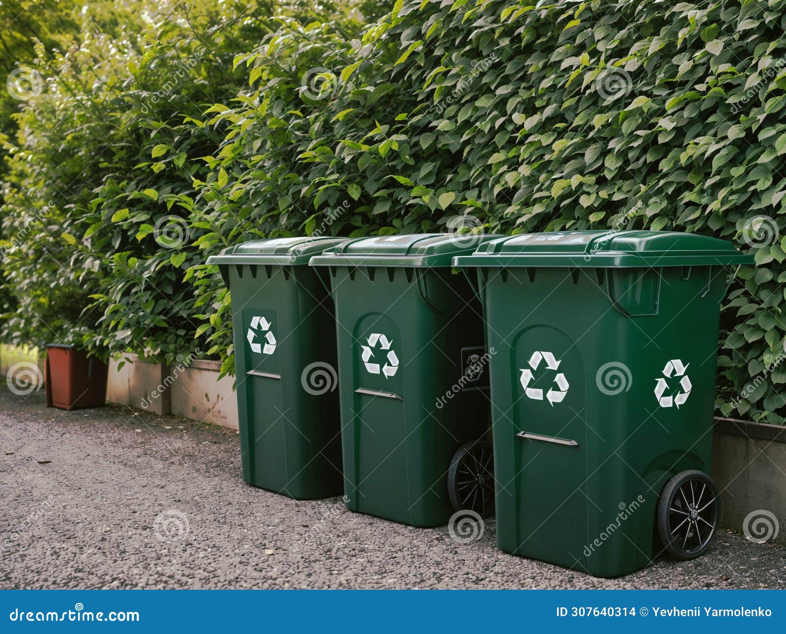 Bins for Sorting Garbage. Trash Cans on the Street Stock Photo - Image ...