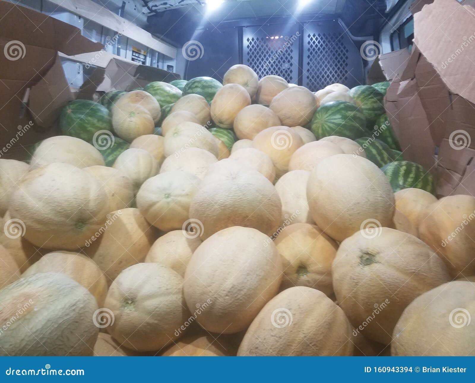 Bins of Watermelon and Cantaloupe Stock Photo - Image of piles ...