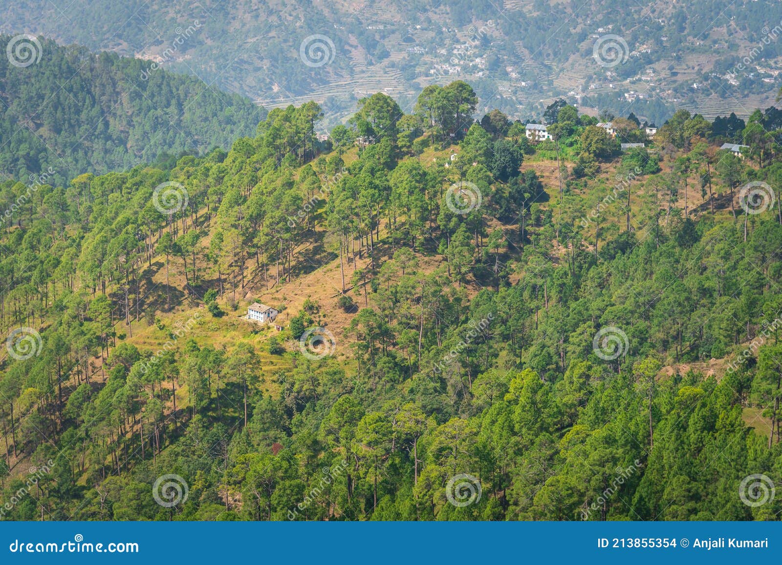 Binsar, Uttarakhand, India stock photo. Image of mountain - 213855354