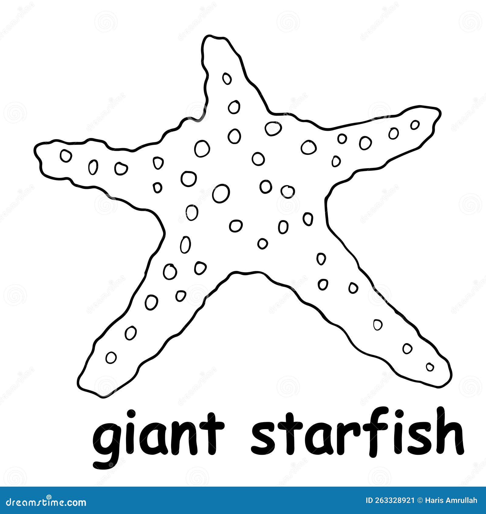 Kids Line Illustration Coloring Giant Starfish. Animal Outline Stock ...