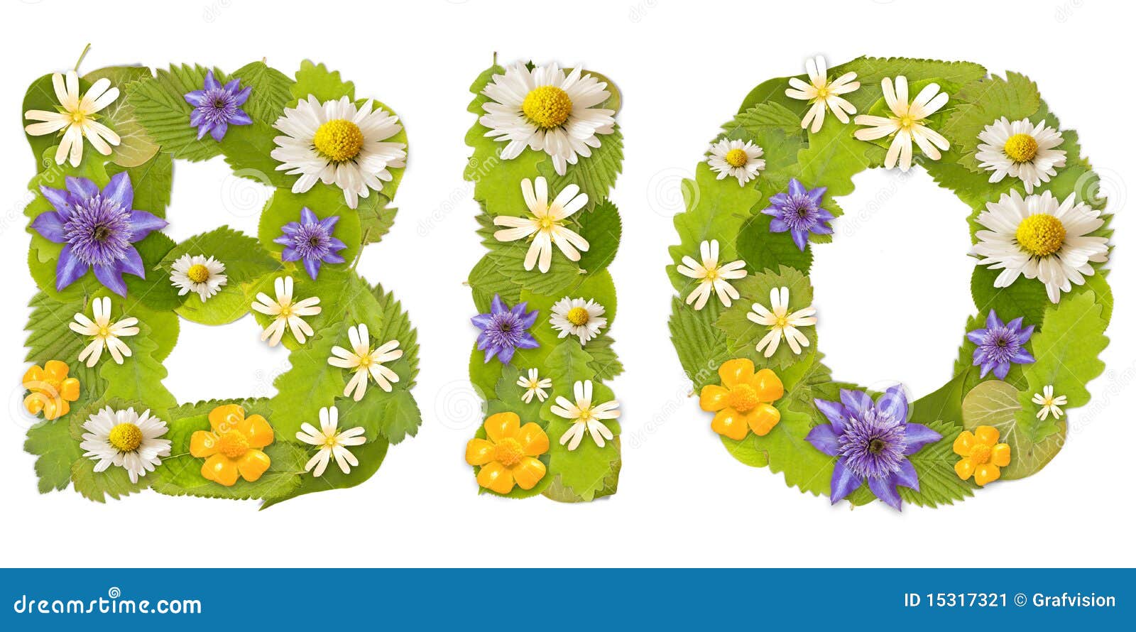 Bio stock image. Image of plant, alphabet, flora, symbol - 15317321