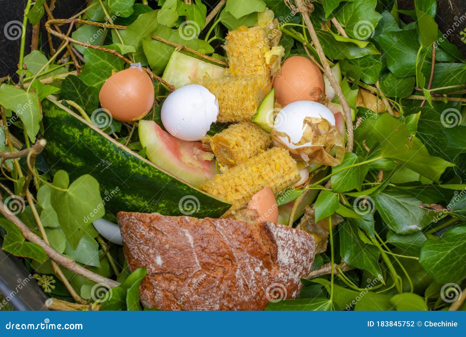 Bio Container with Various Organic Wastes for Recycling Stock Photo ...
