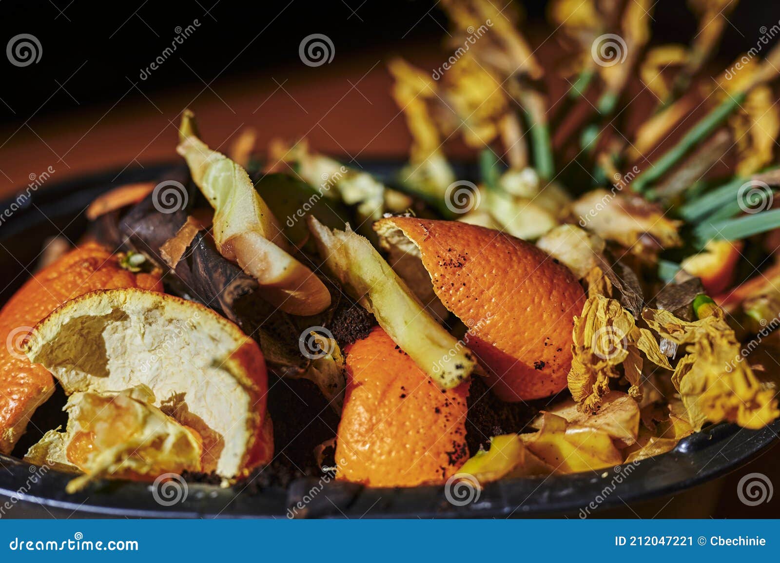 Bio Container with Various Organic Wastes for Recycling Stock Image ...