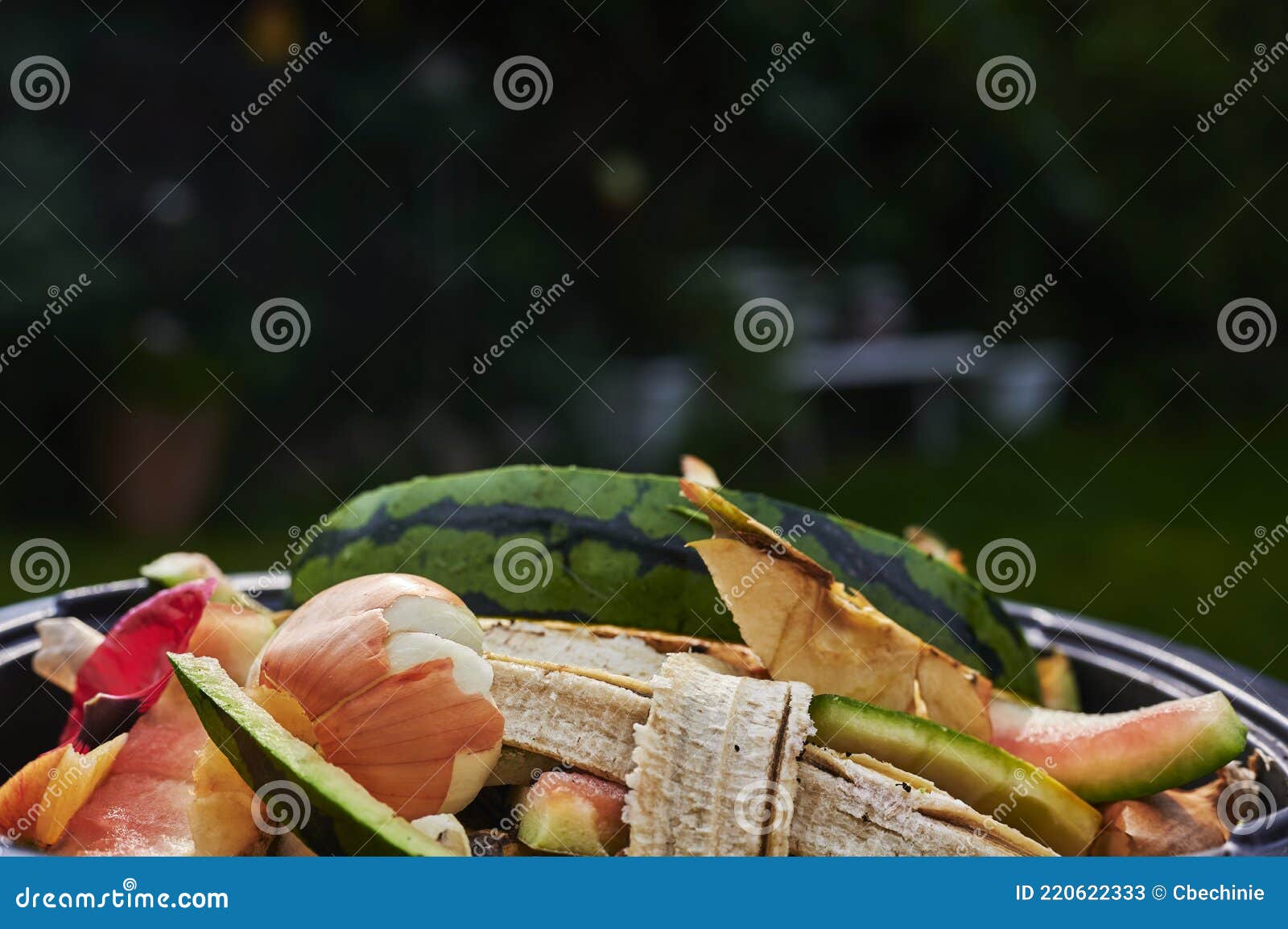 Bio Container with Various Organic Wastes for Recycling Stock Image ...