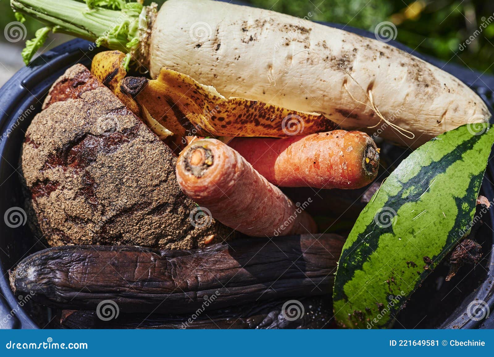Bio Container with Various Organic Wastes for Recycling Stock Image ...