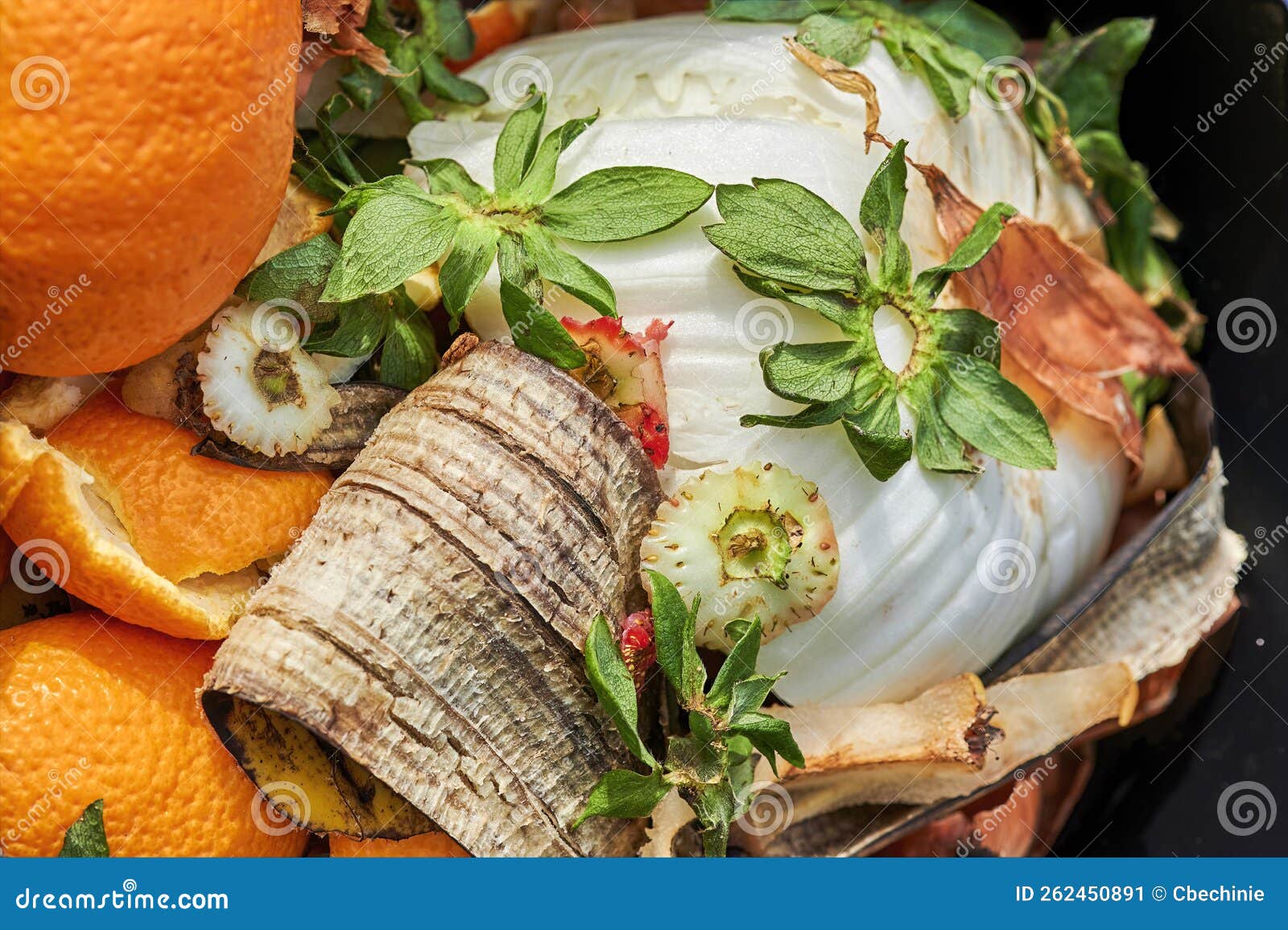 Bio Container with Various Organic Wastes for Recycling Stock Image ...