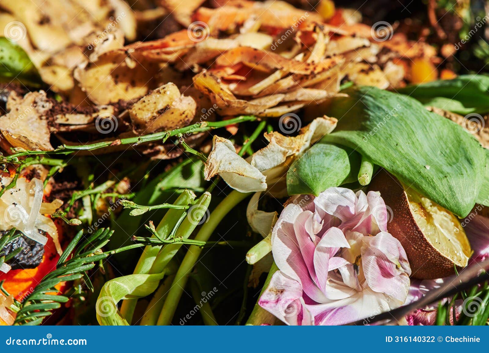 A Bio Container with Various Organic Wastes for Recycling Stock Photo ...