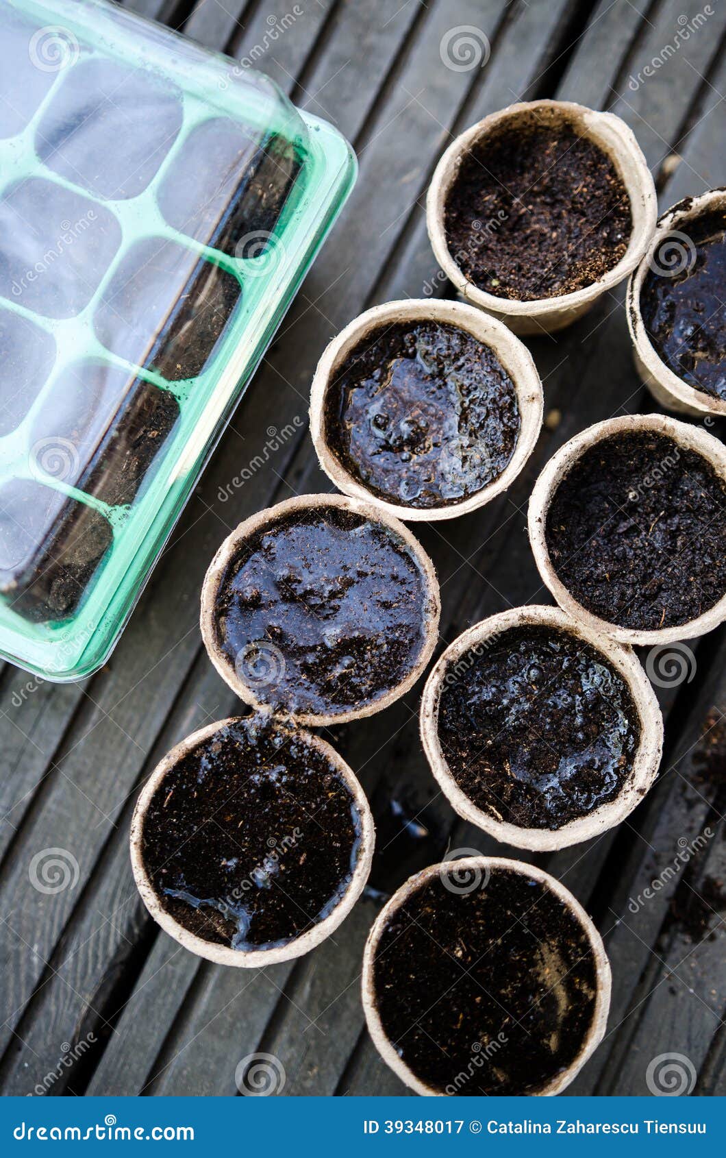 Bio-degradabile Pots with Soil Stock Image - Image of specialized ...