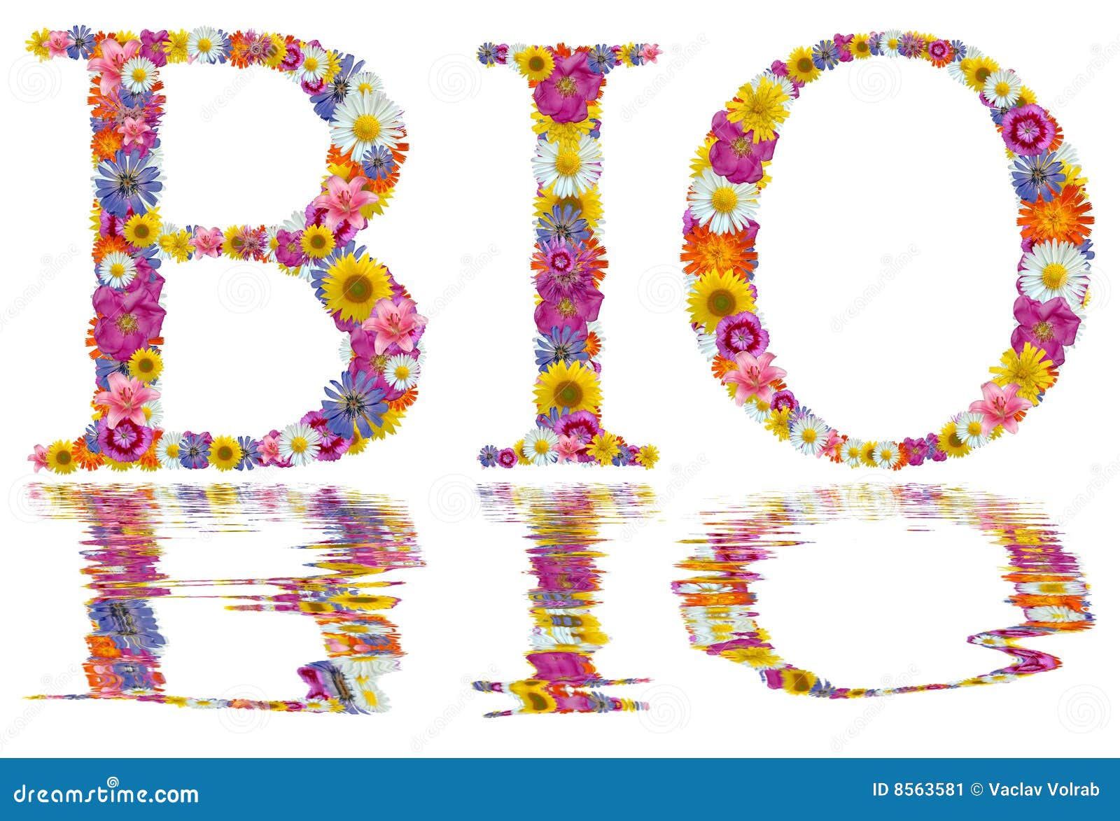 Bio design stock illustration. Illustration of biological - 8563581