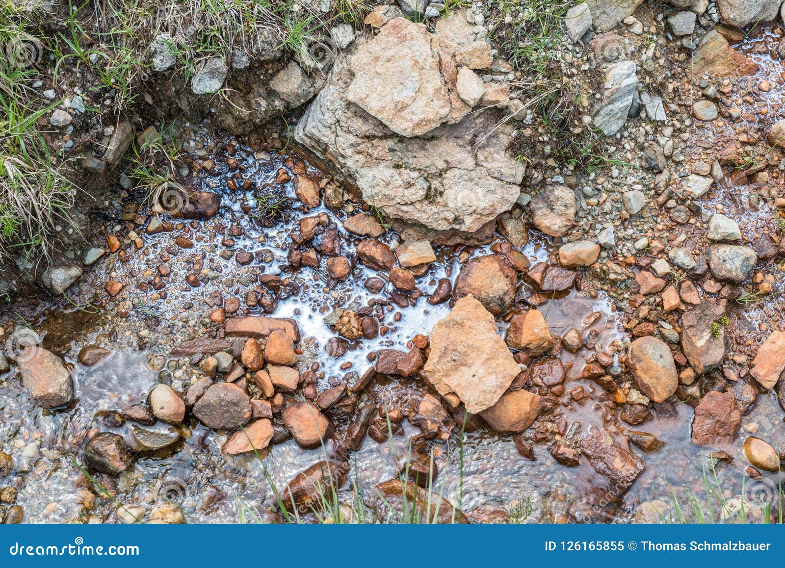 Bio Film by Accumulation of Micro Organisms on the Water Surface ... Bio Film by Accumulation of Micro Organisms on the Water Surface ...