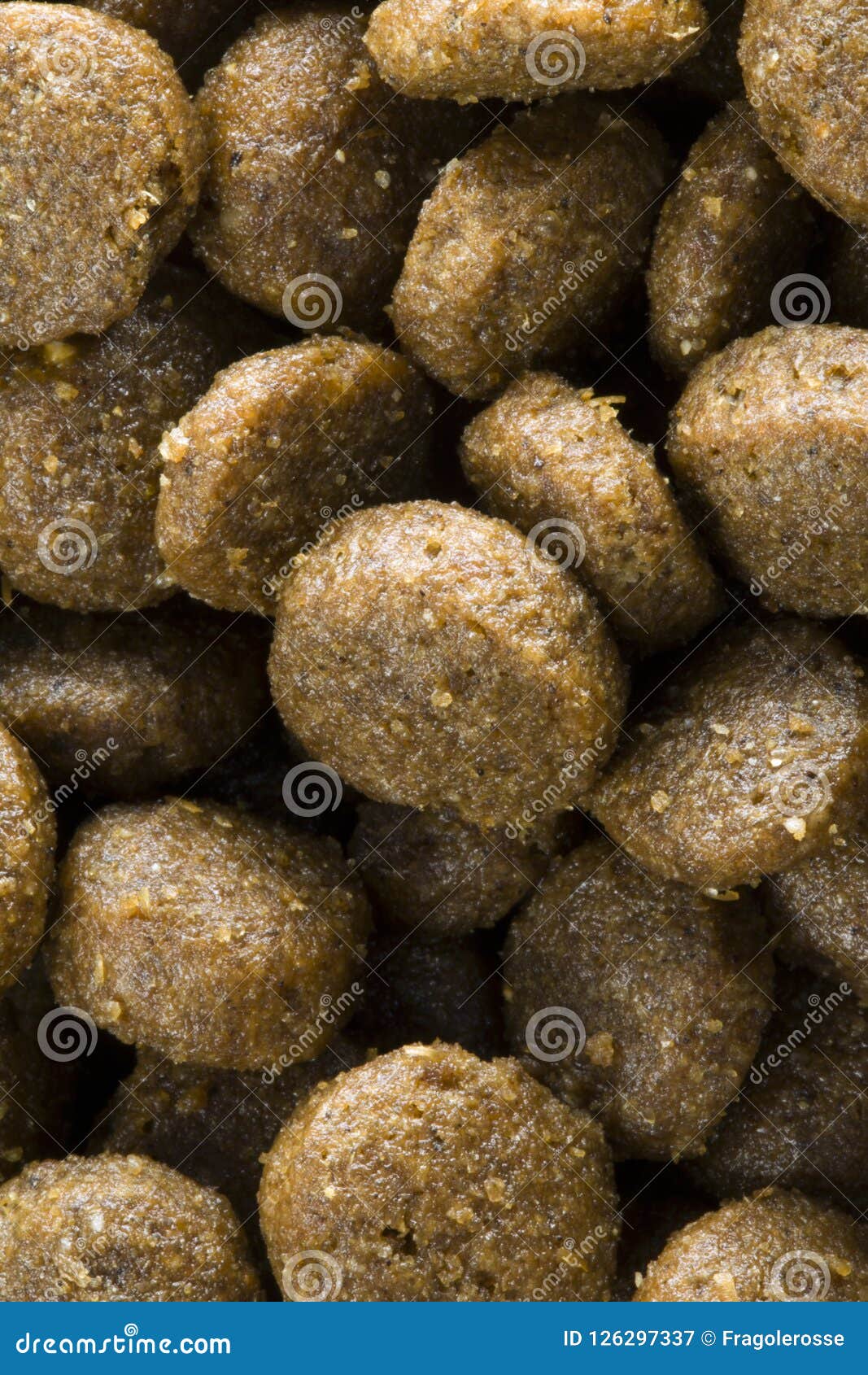 Bio food for dogs stock image. Image of petfood, macro - 126297337