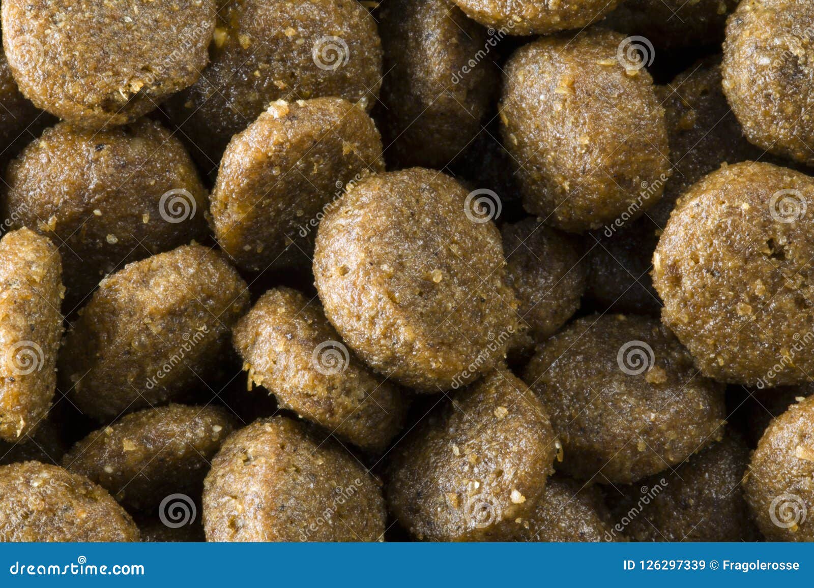 Bio food for dogs stock image. Image of feed, floor - 126297339